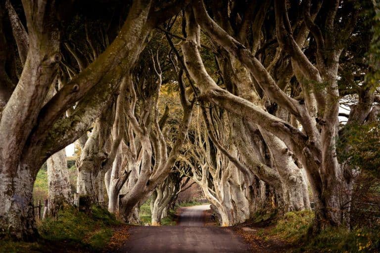 The ULTIMATE Ireland Road Trip Itinerary (2026 Guide)