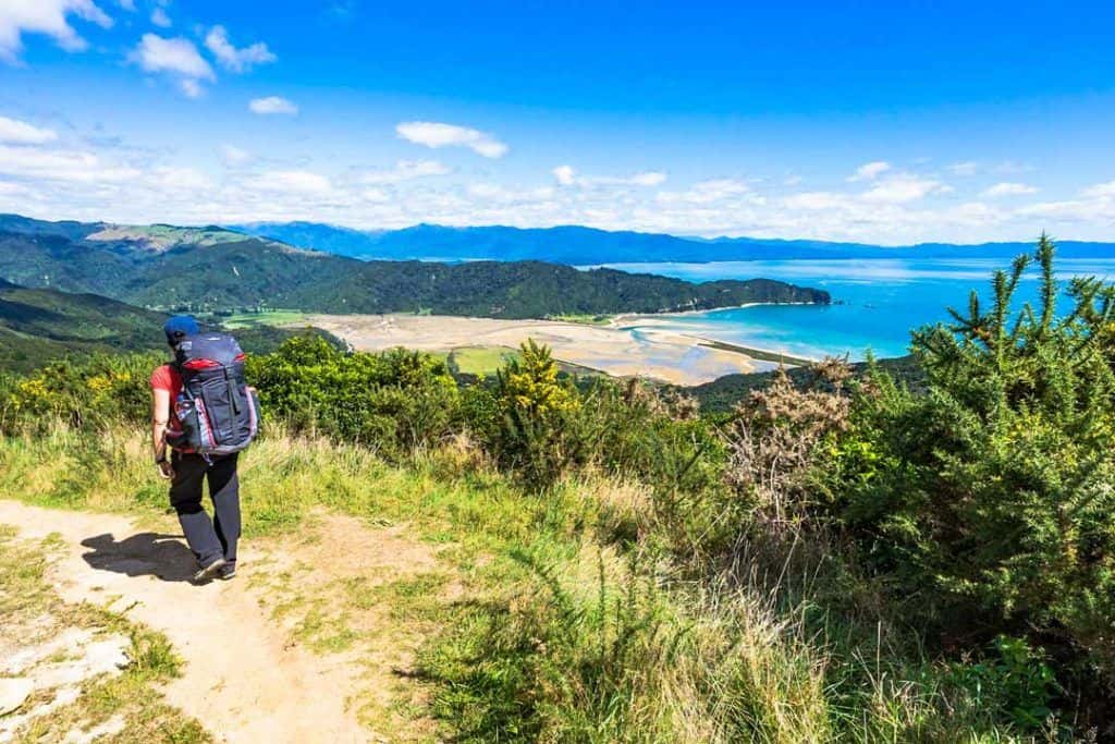 HIKING in NEW ZEALAND - The Ultimate Trekking Guide [2025]