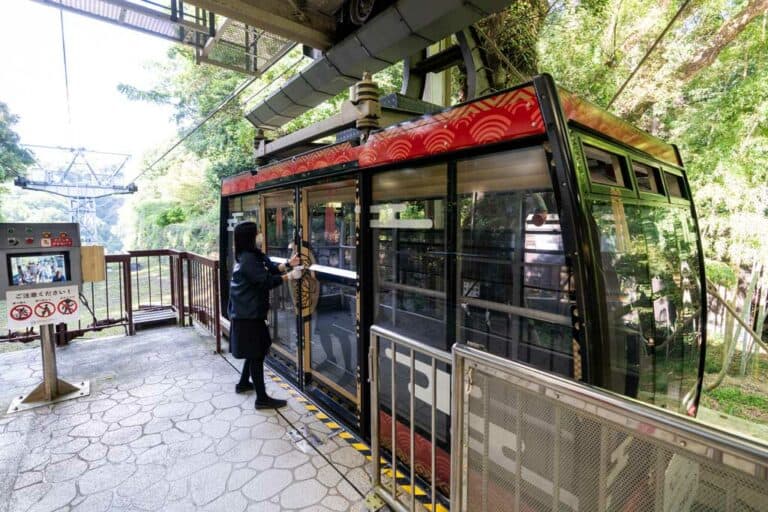 The Ultimate Guide to Shizuoka Prefecture [2024 Edition]