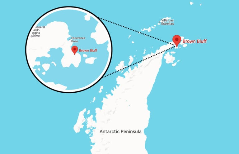 A Guide To Brown Bluff Antarctica (2026 Edition)
